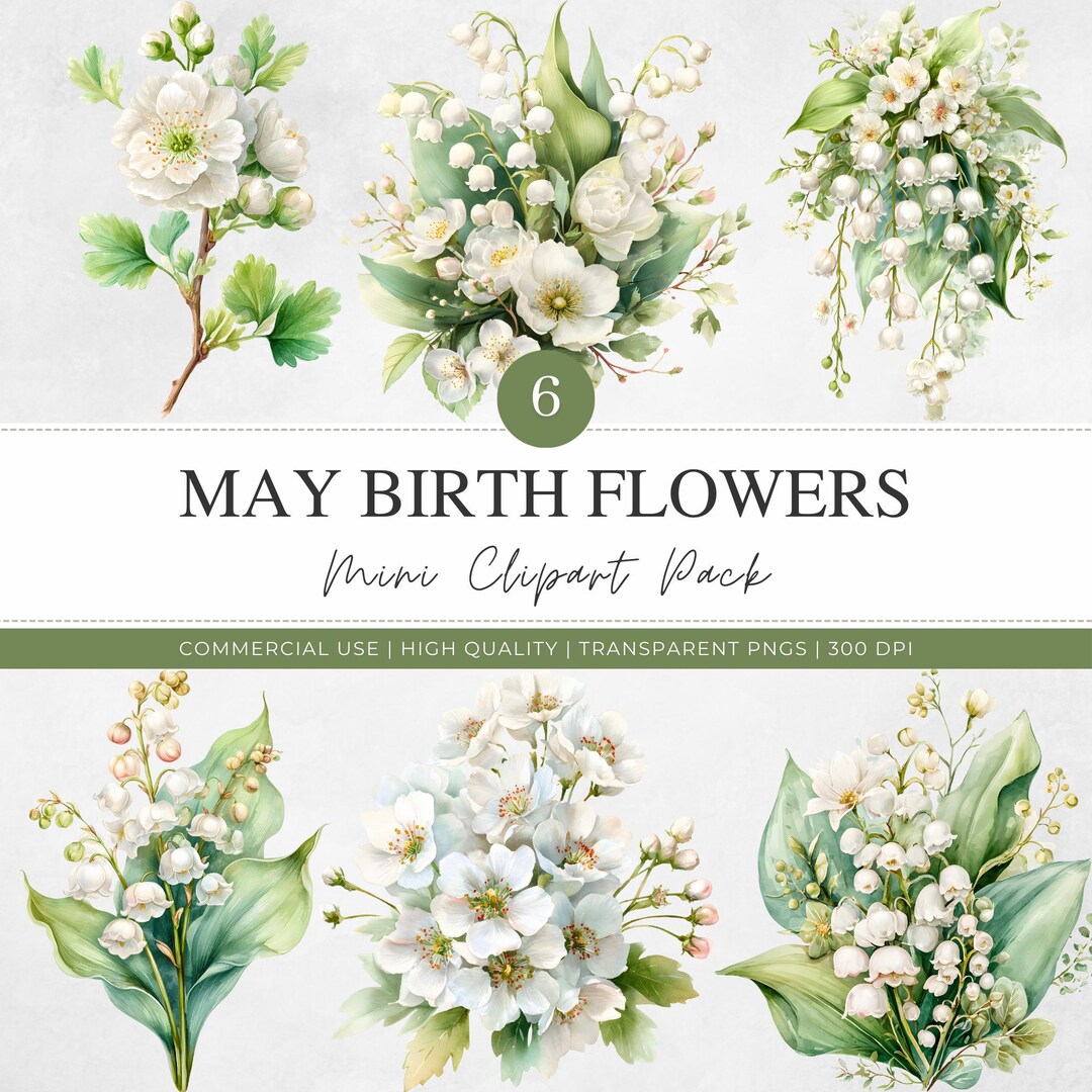 May Birth Month Flower Clipart | Watercolor Lily of the Valley ...