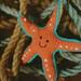 Starfish Handmade Kids Soft Toy Baby or Toddler Gift Ocean Beach ...