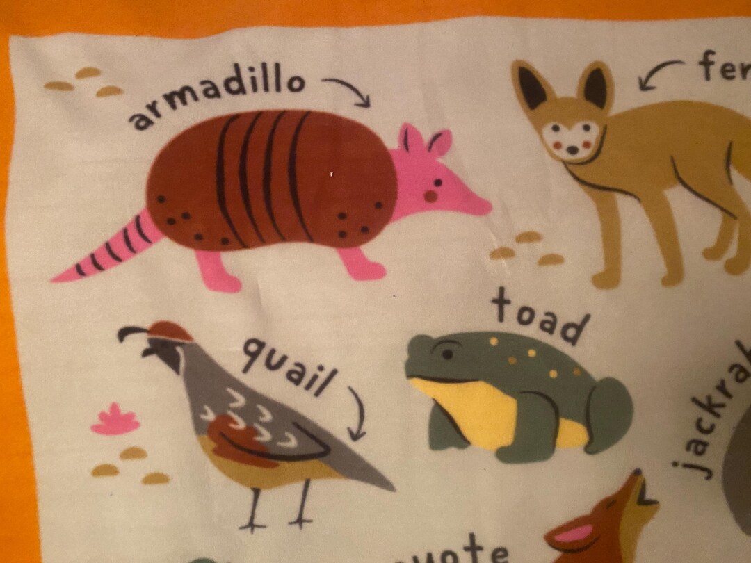 Armadillo, Cactus, Snake, Fox, Toad, Quail on White With Orange Border ...