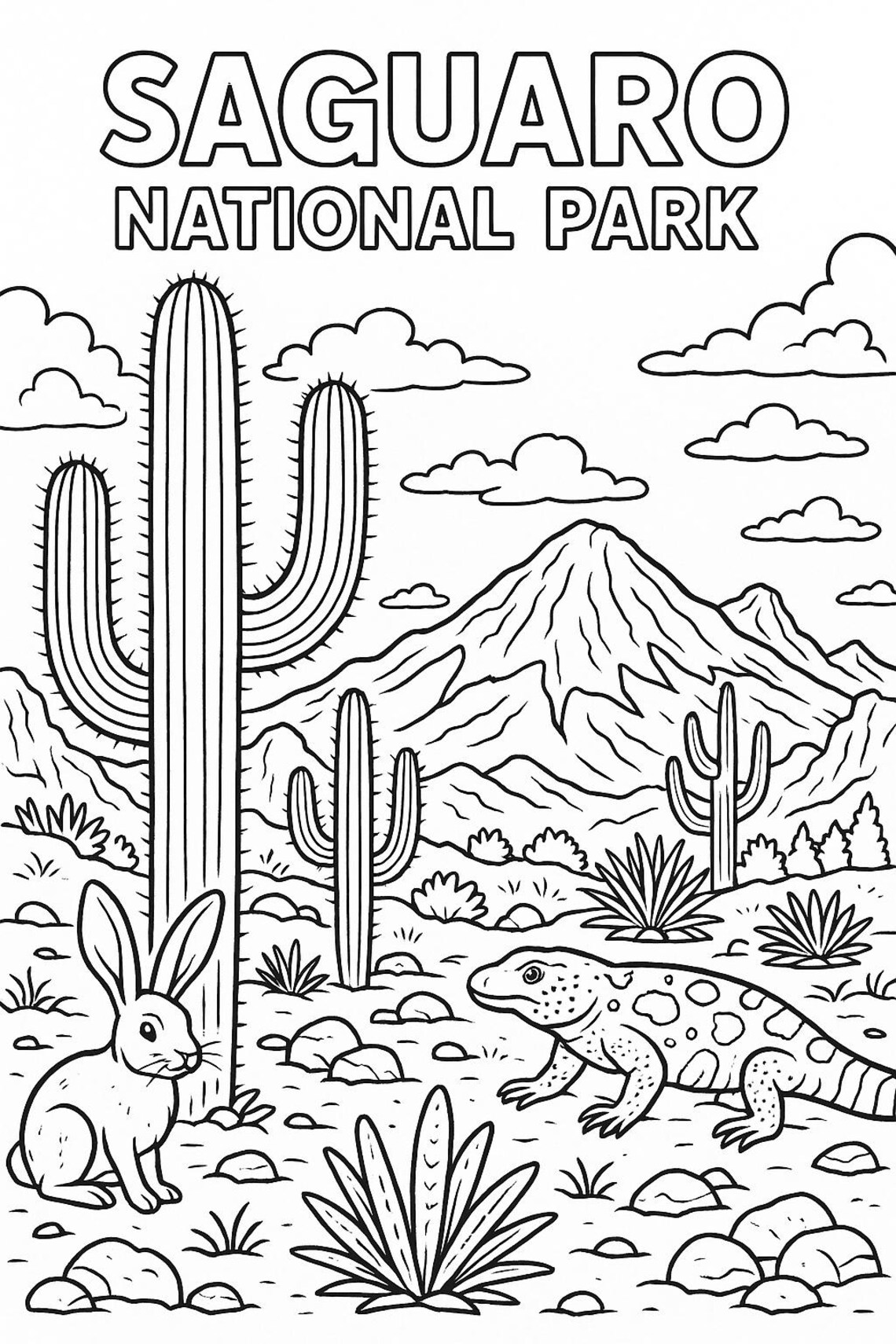 National Park Coloring Book, Color Pages - Etsy