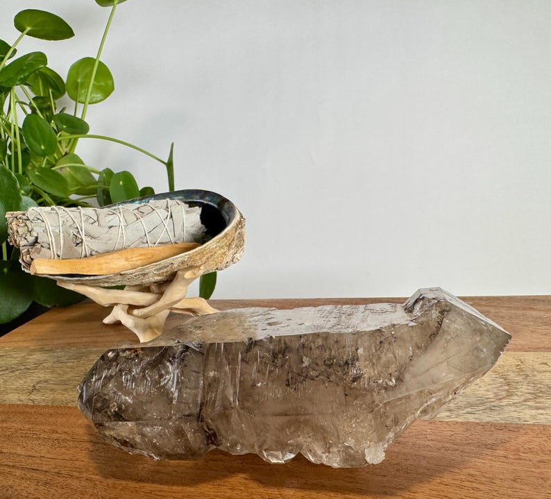 Collector's Large Enhydro Smoky Quartz | Rare Elestial Quartz From the ...