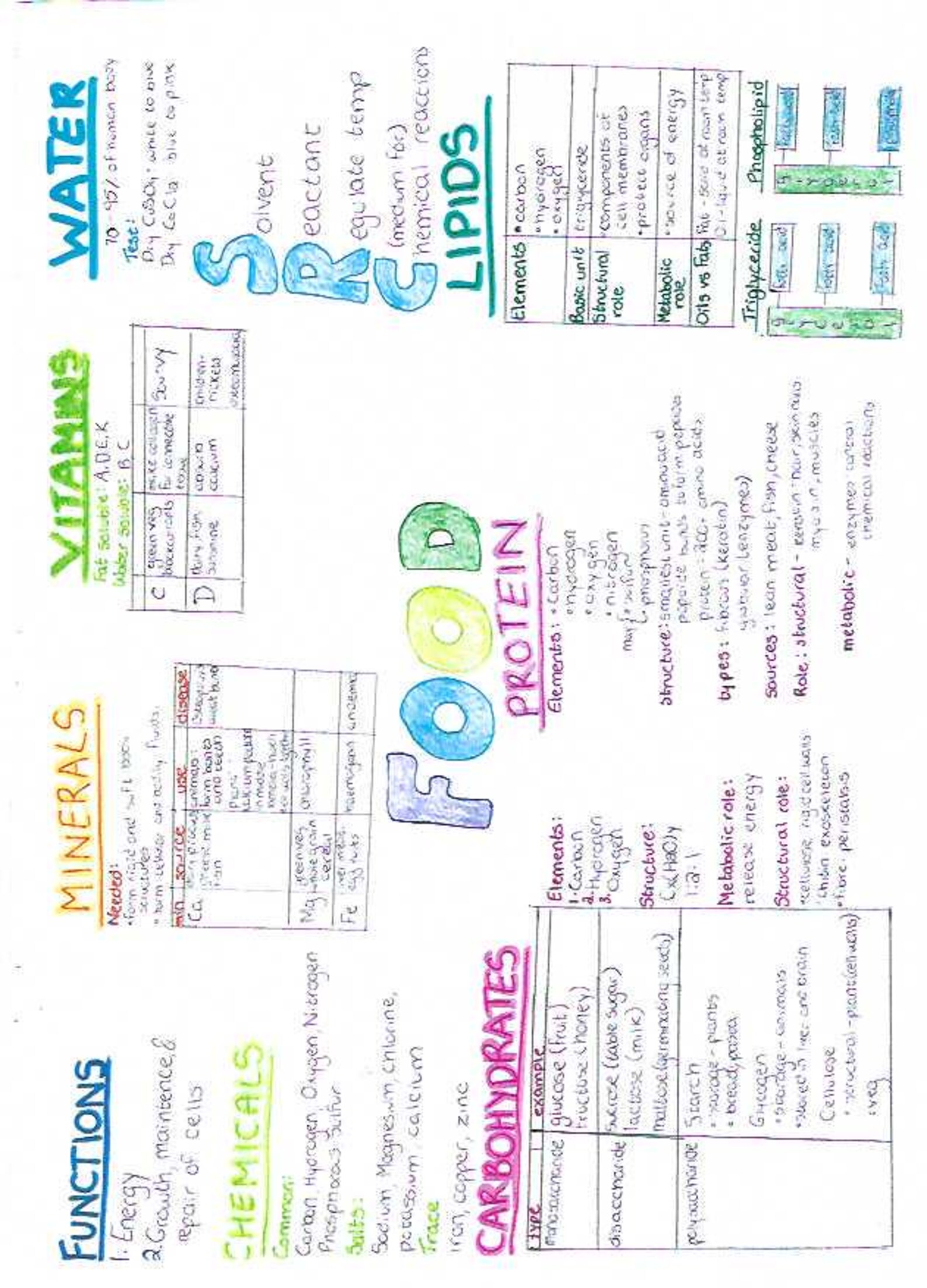 H1 Leaving Cert Biology Notes - Etsy