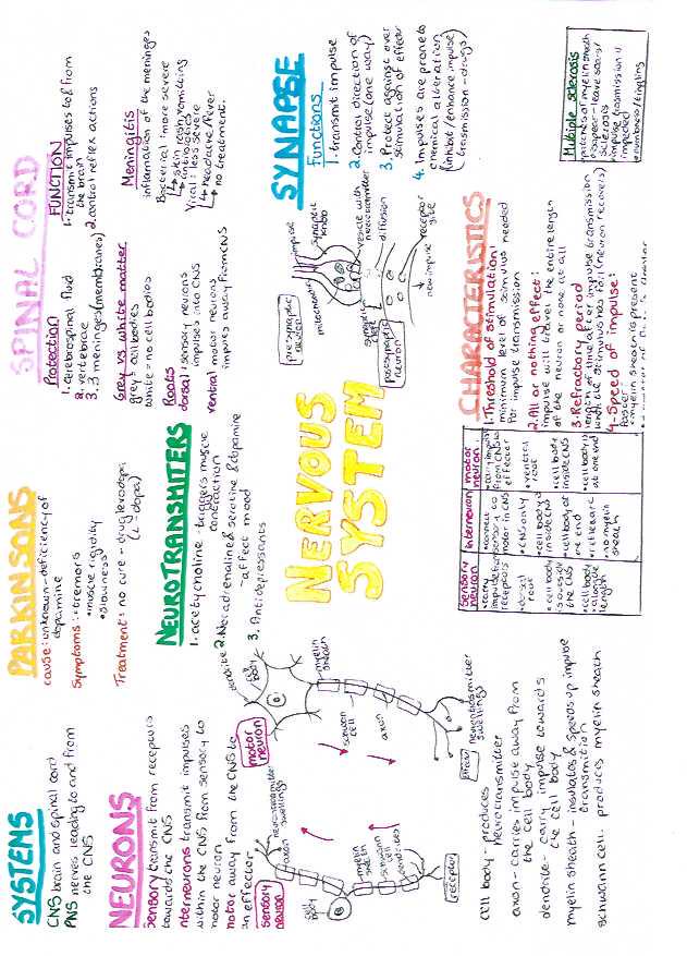 H1 Leaving Cert Biology Notes - Etsy