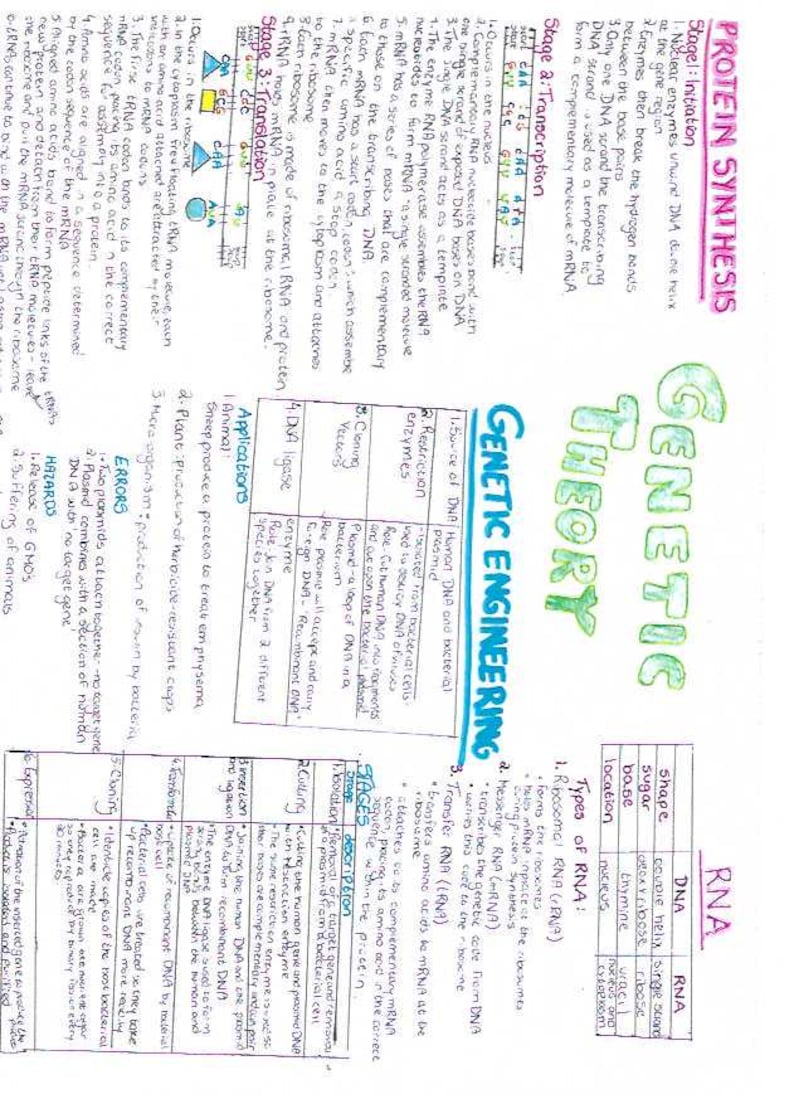 H1 Leaving Cert Biology Notes - Etsy