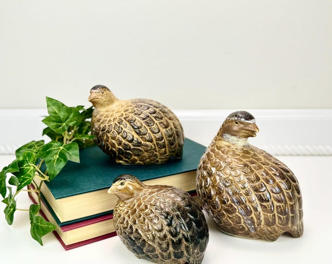 Fun Mid-century Ceramic Quail Family Figurines - Set of 3: Trio of ...