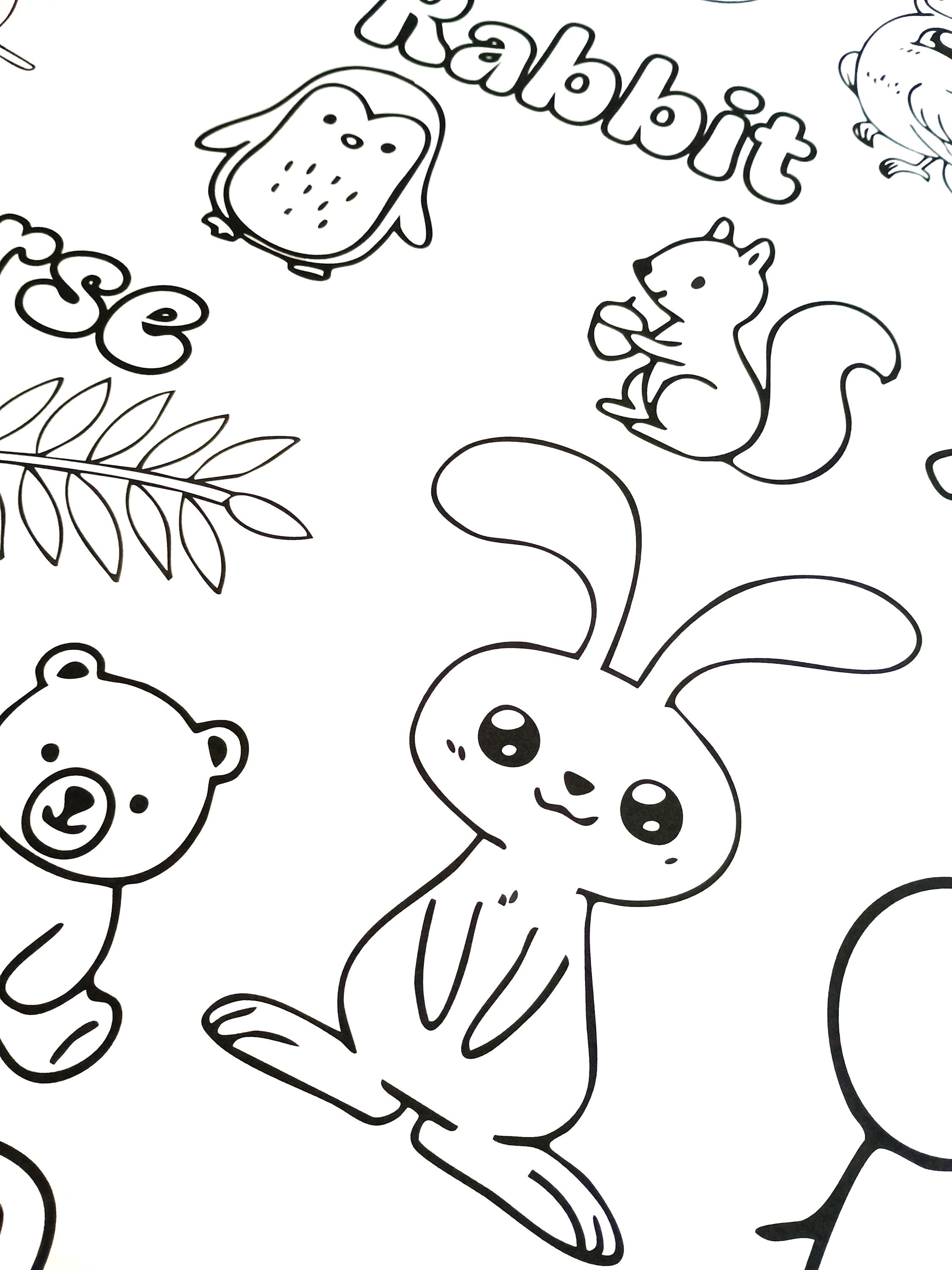 Giant Animal Coloring Poster for Kids | 24x72 Safari Jungle Farm - Etsy