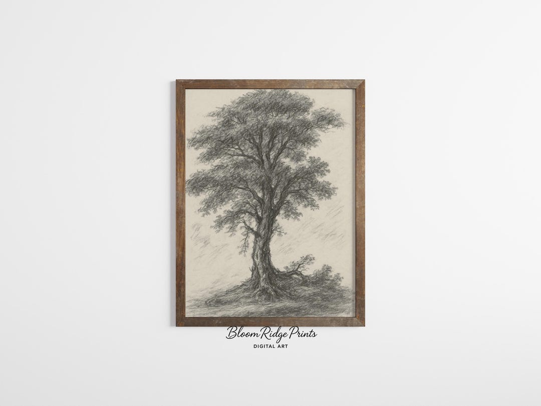 Vintage Tree Sketch Print: Charcoal Drawing, Rustic Wall Art (digital ...