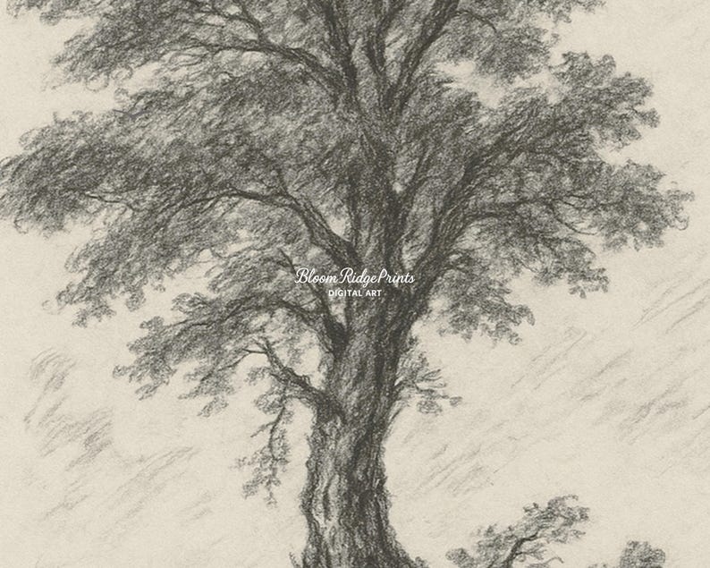 Vintage Tree Sketch Print: Charcoal Drawing, Rustic Wall Art (digital ...