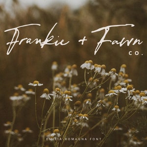 Calligraphy Font, Modern Calligraphy, Digital Fonts, Wedding Font, Invitation Font, Script, Hand ...