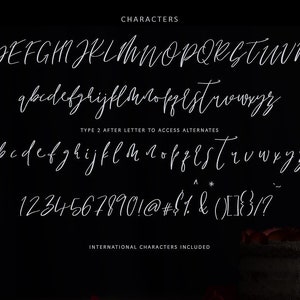 Just Maria Script Font: Modern Calligraphy (digital Download) - Etsy