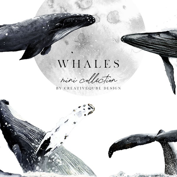 Whales Clip Art - Etsy