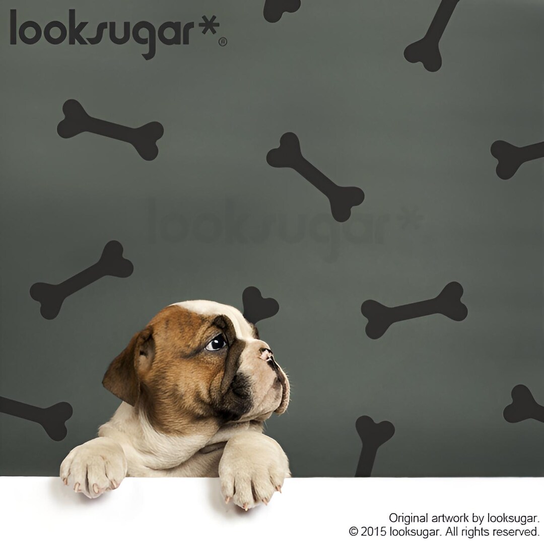 Dog Bone Wall Decals . Removable Dog Bone Stickers for Pet Shops . Pet ...