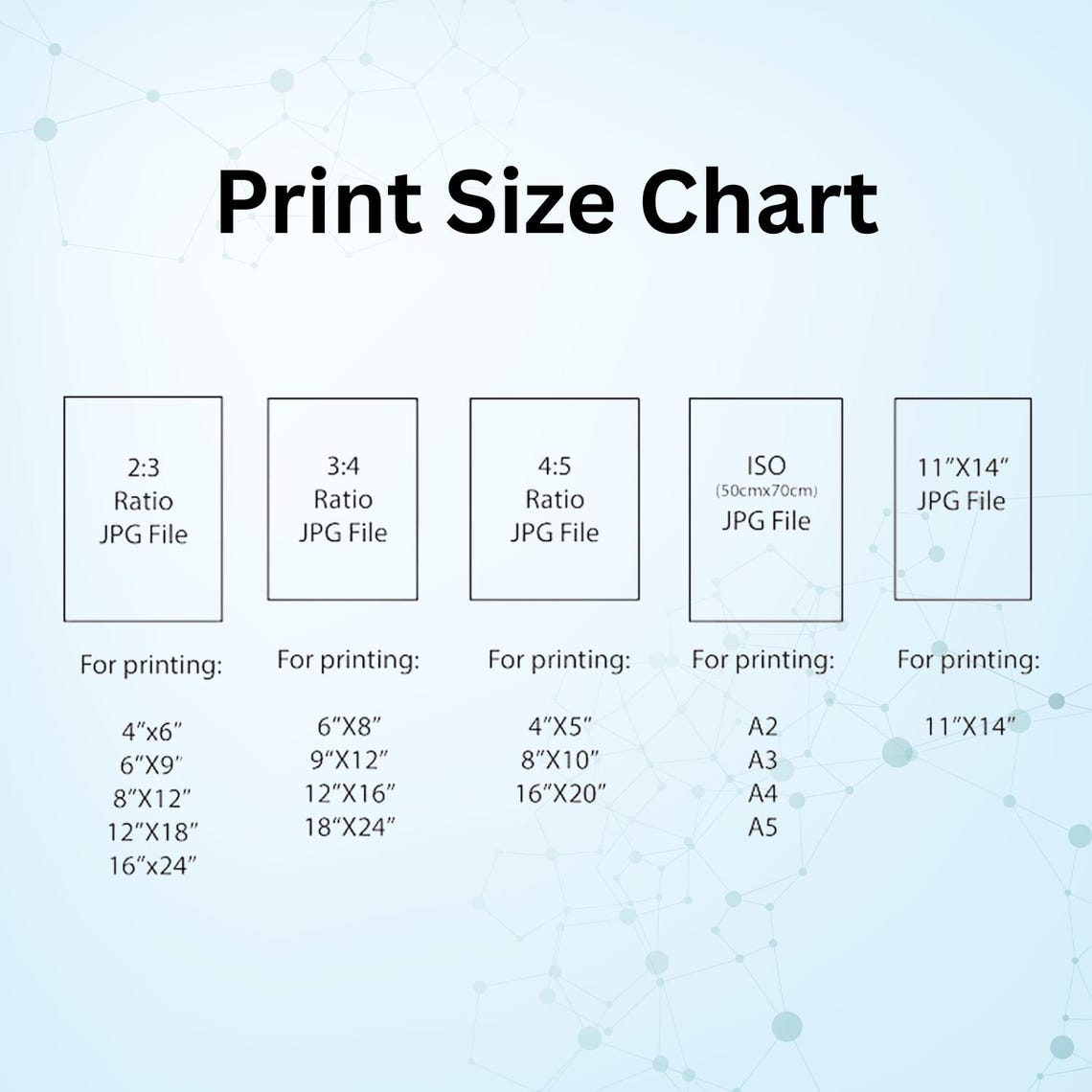 Human Skeleton Poster for Kids | Human Bones Printable | Educational ...