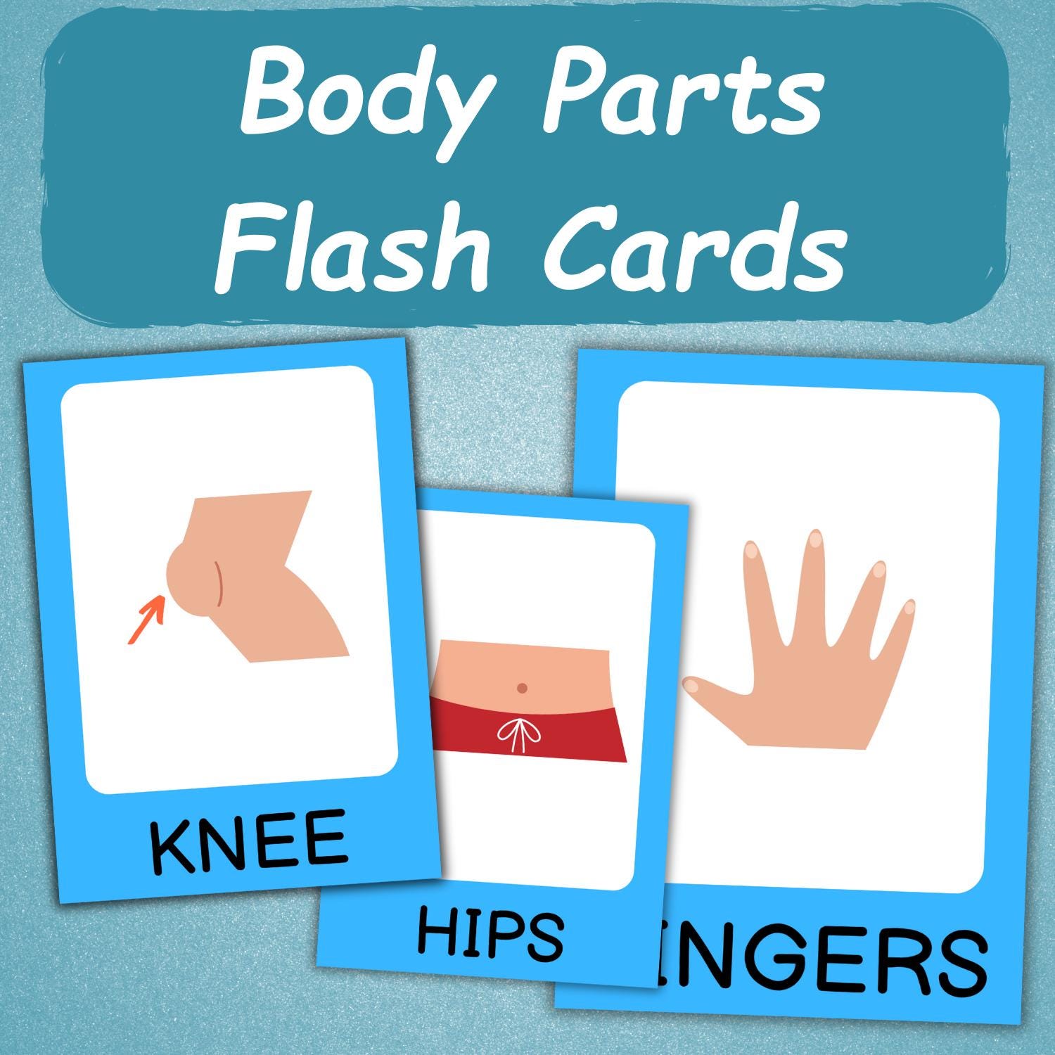 27 Body Parts Flashcards | Body Parts Cards for Kids | Preschool ...