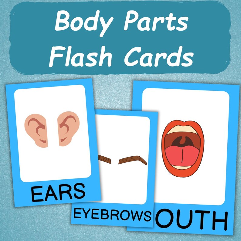 27 Body Parts Flashcards | Body Parts Cards for Kids | Preschool ...