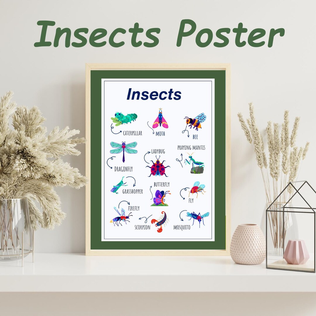 Toddler Insects Poster | Preschool Insect Prints | Montessori Poster ...