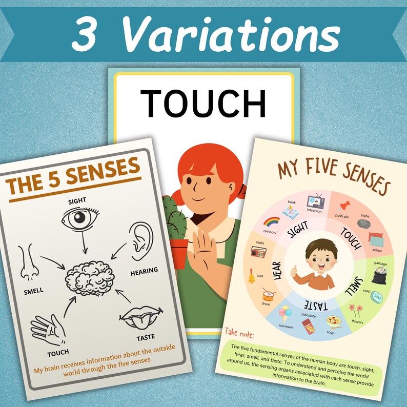 Five Senses Posters | Preschool Kindergarten Posters | 5 Senses ...
