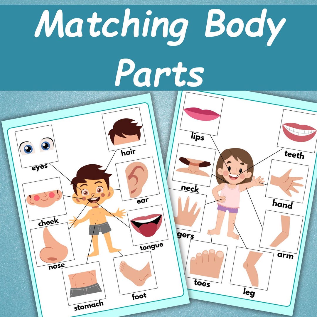 Body Parts Matching Activity | Human Anatomy Matching Game | Human Body ...