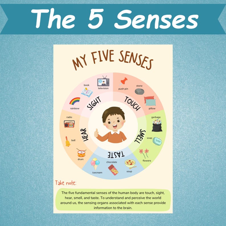 Five Senses Posters | Preschool Kindergarten Posters | 5 Senses ...