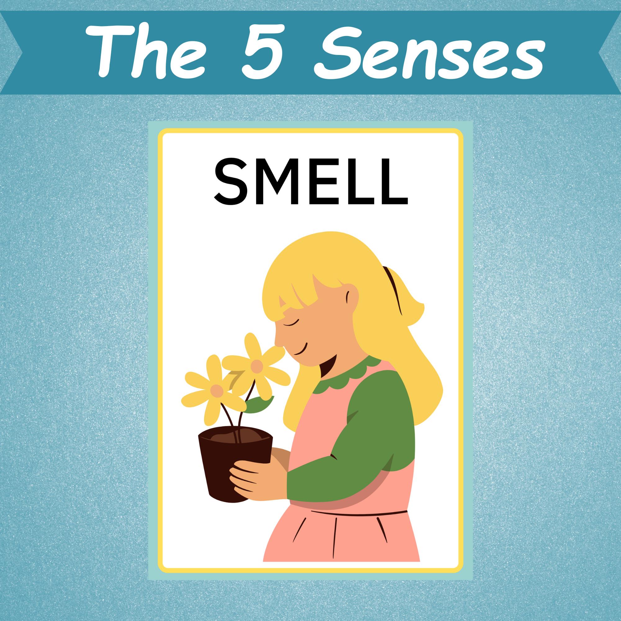 Five Senses Posters | Preschool Kindergarten Posters | 5 Senses ...