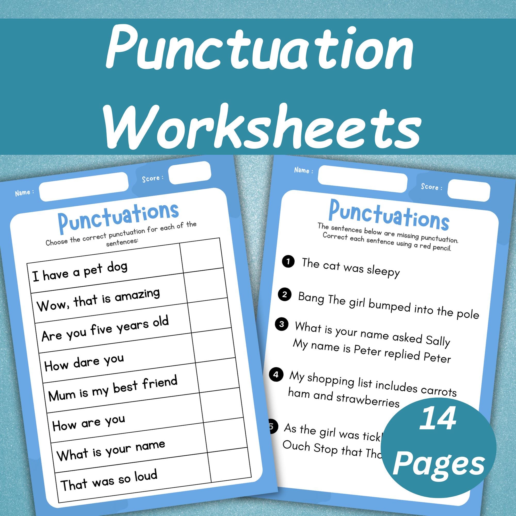 14 Punctuation Worksheets | Punctuation Practice Worksheets | Printable ...
