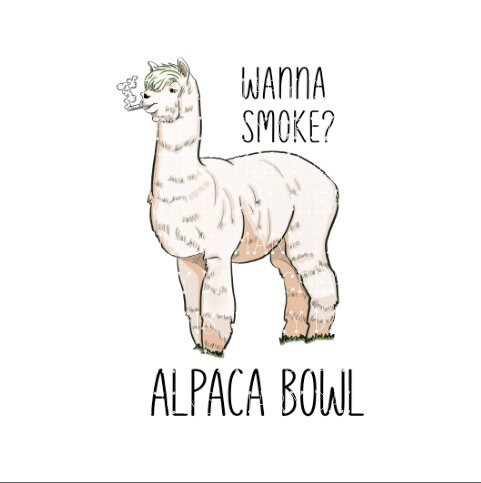 Alpaca Bowl Meme