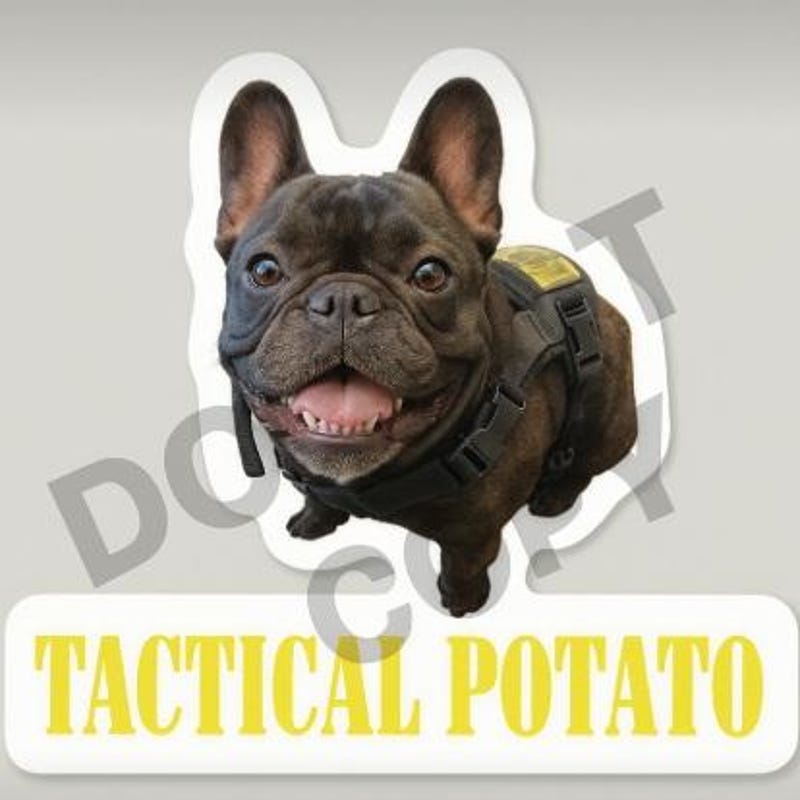 Funny Stickers Tactical - Etsy