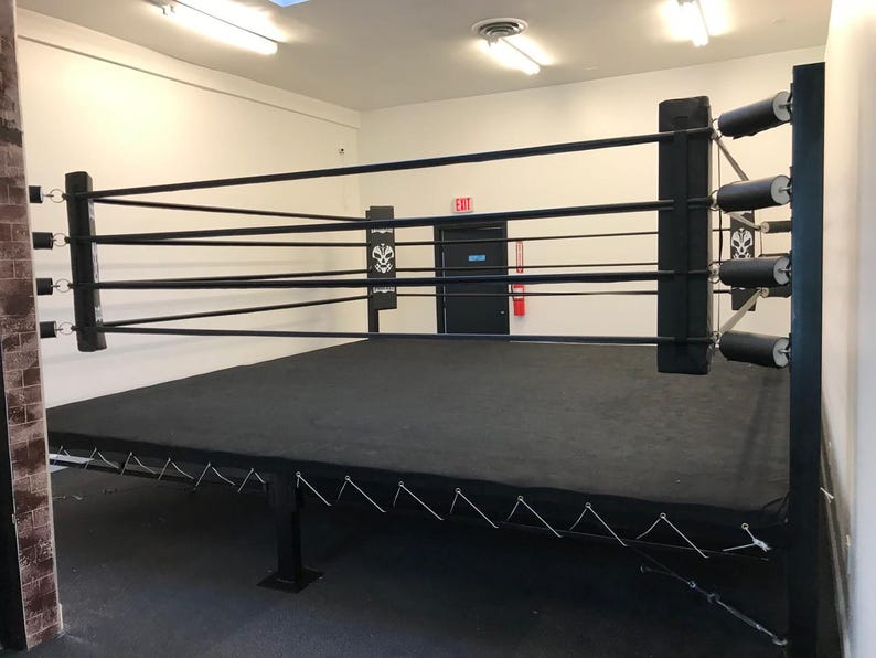 Brawl Strike Professional Wrestling Ring Cover Canvas Boxing WWE TNA ...
