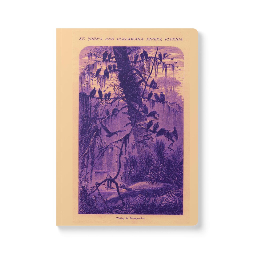 Vulture Swamp Spellbook Goblincore Witch Journal Vintage Florida Bird ...