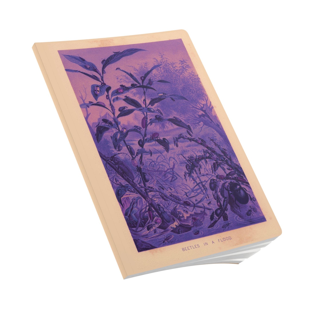 Beetles in A Flood Goblincore Notebook Vintage Natural History ...