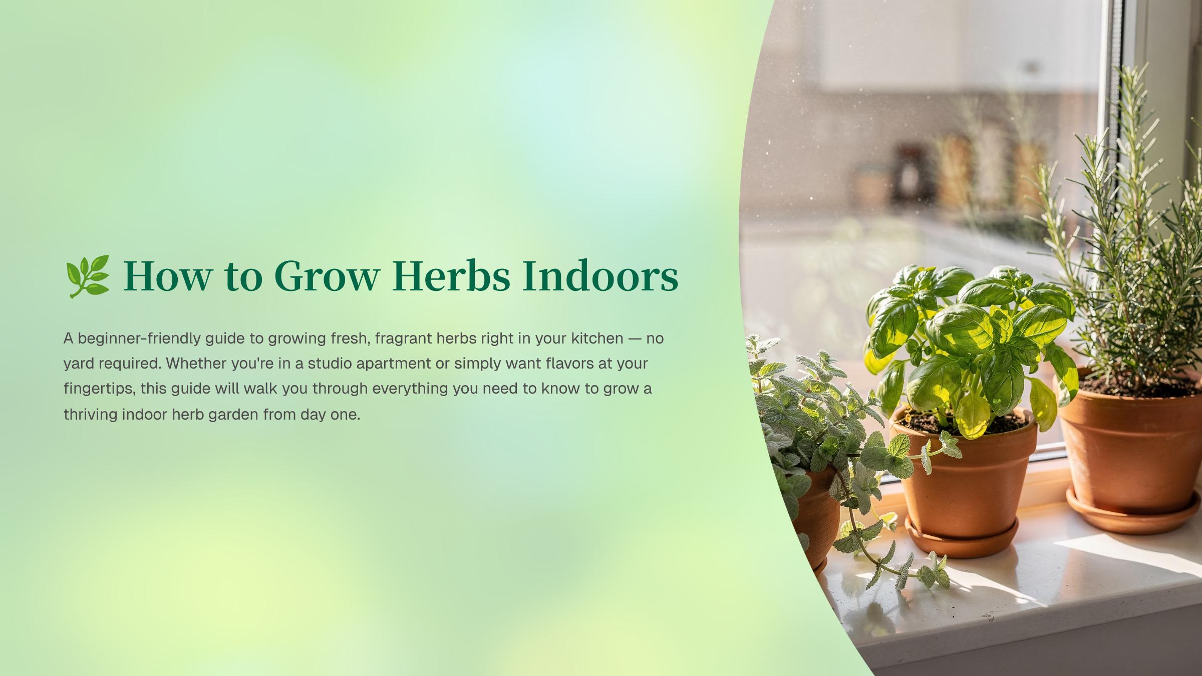 Indoor Herb Garden Guide for Beginners, Kitchen Gardening Ebook (PDF ...