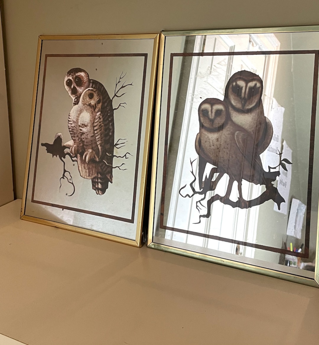 Two Vintage Mid-century Modern MCM Owl Mirrors - Etsy
