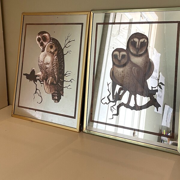 Owl Mirror - Etsy