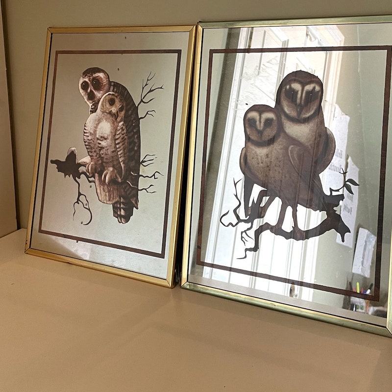 Owl Mirror - Etsy