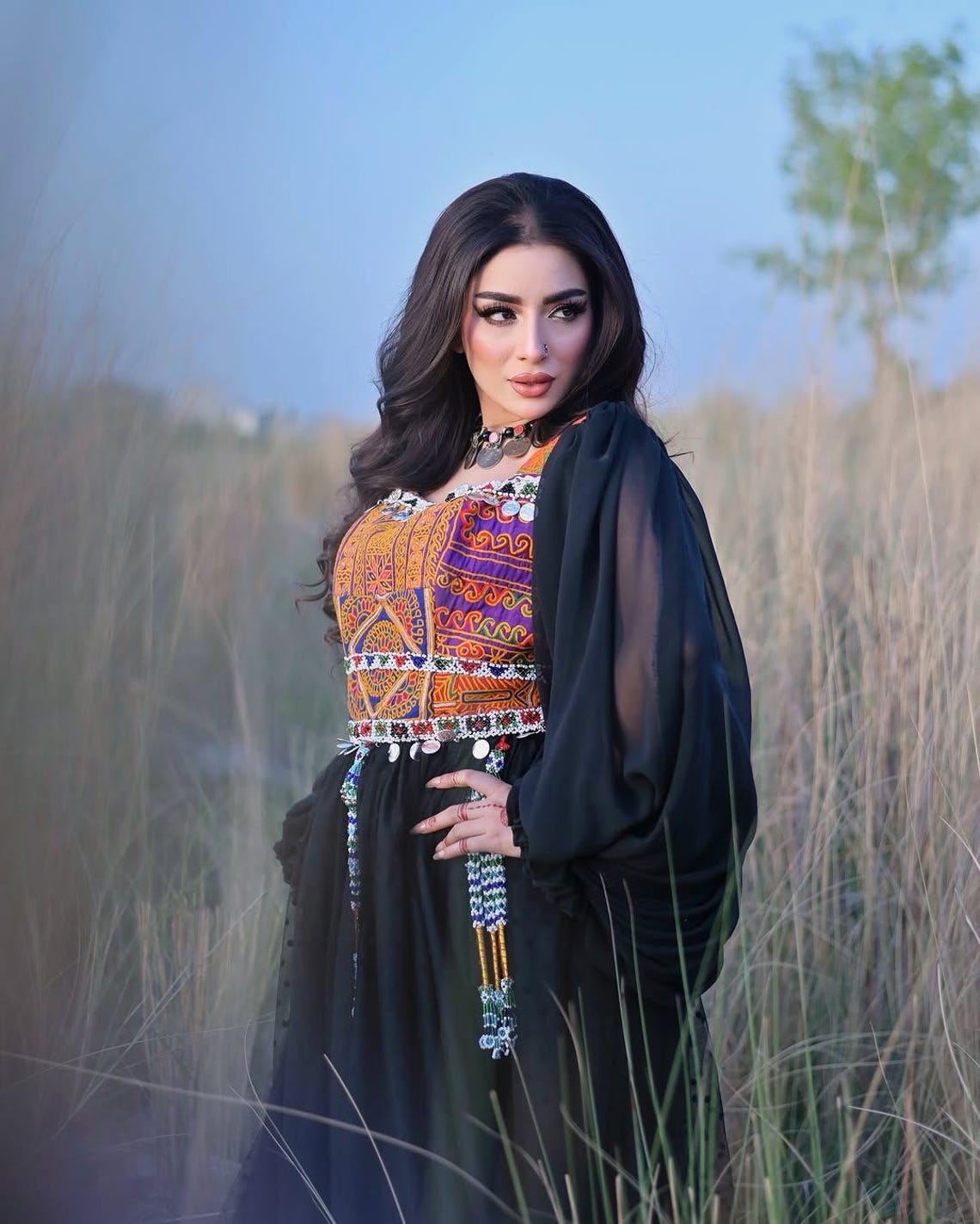 Flawless Afghani Traditional Dress – Handmade Embroidered Afghan Gown ...