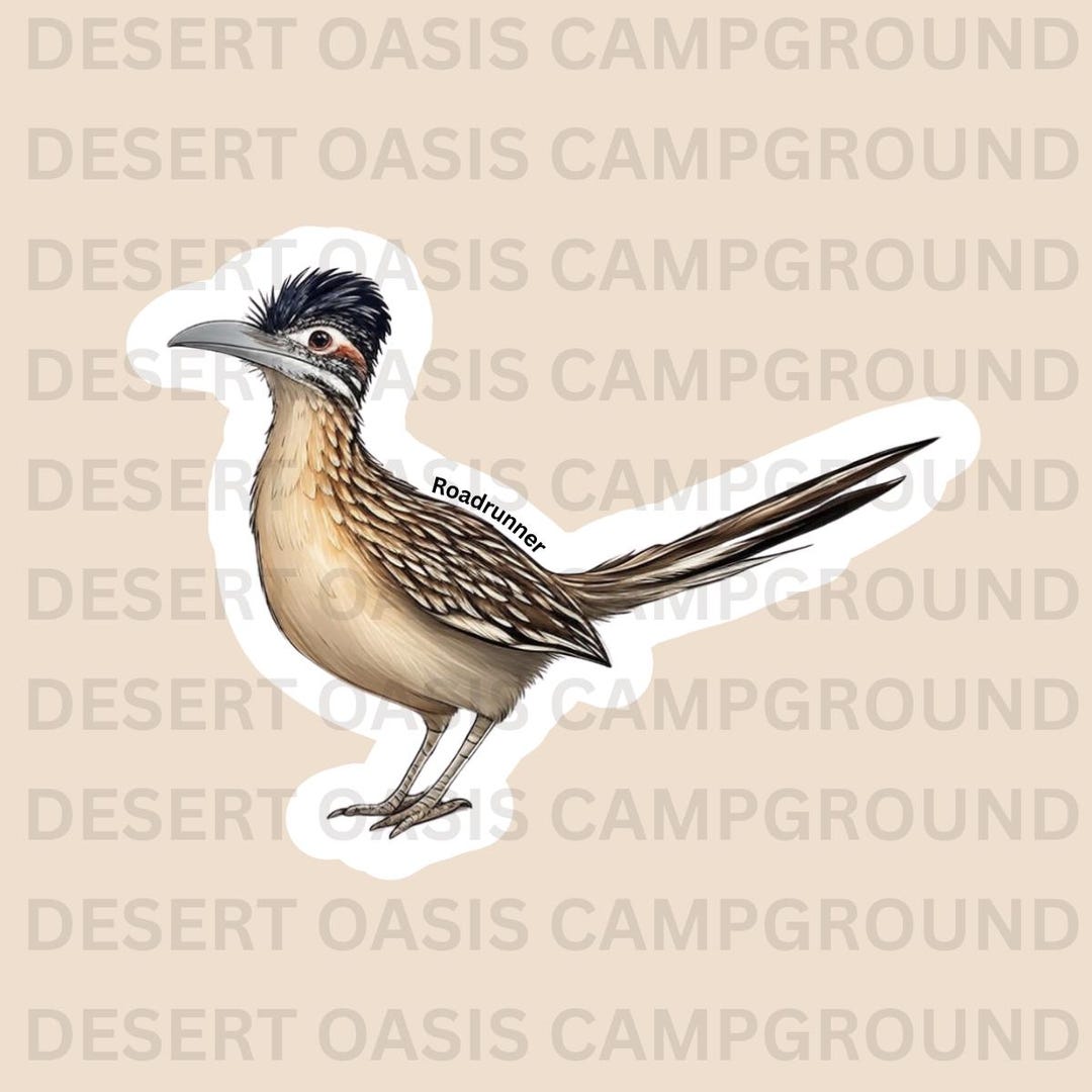 Roadrunner - Sonoran Desert Sticker - Etsy