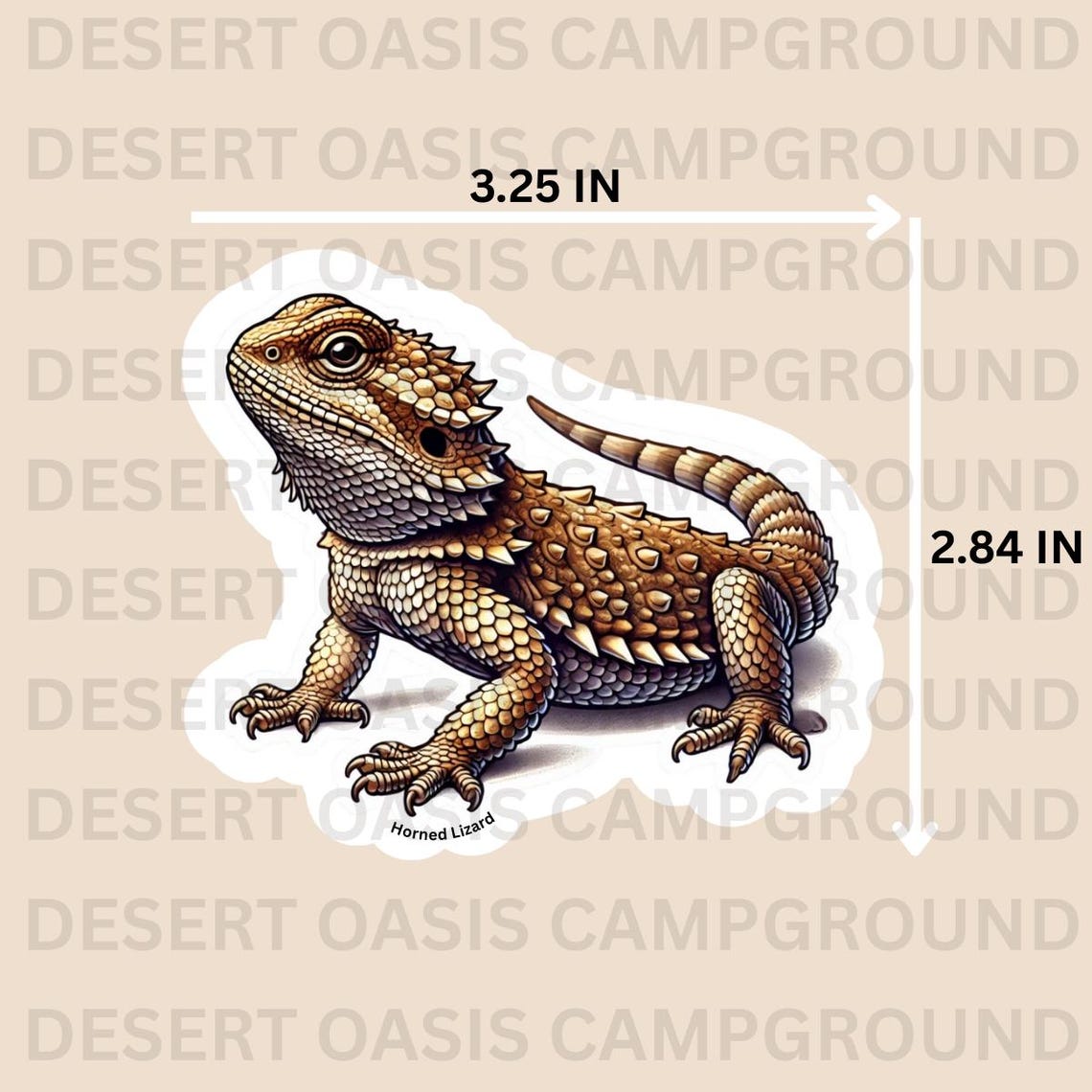 Horned Lizard - Sonoran Desert Sticker - Etsy