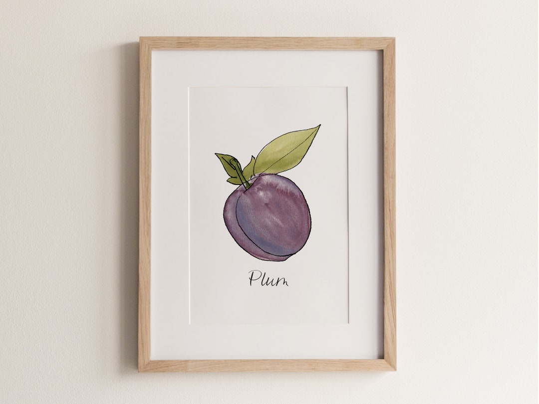 PLUM | Plum Print, Art Print, Fruit Art, Fruit Wall Decor, Kitchen Wall ...