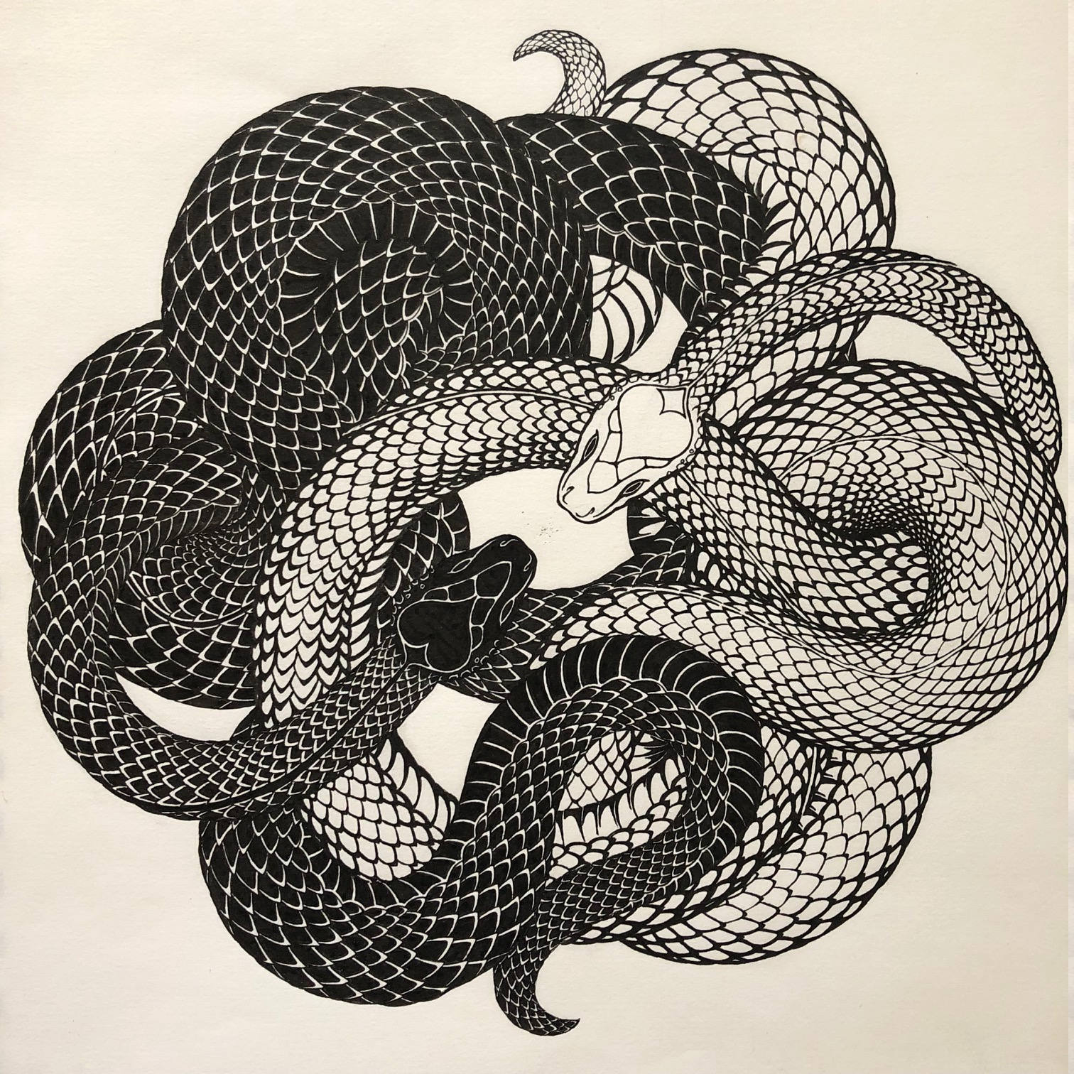 Mandala: Serpent Yin Yang - Etsy Denmark