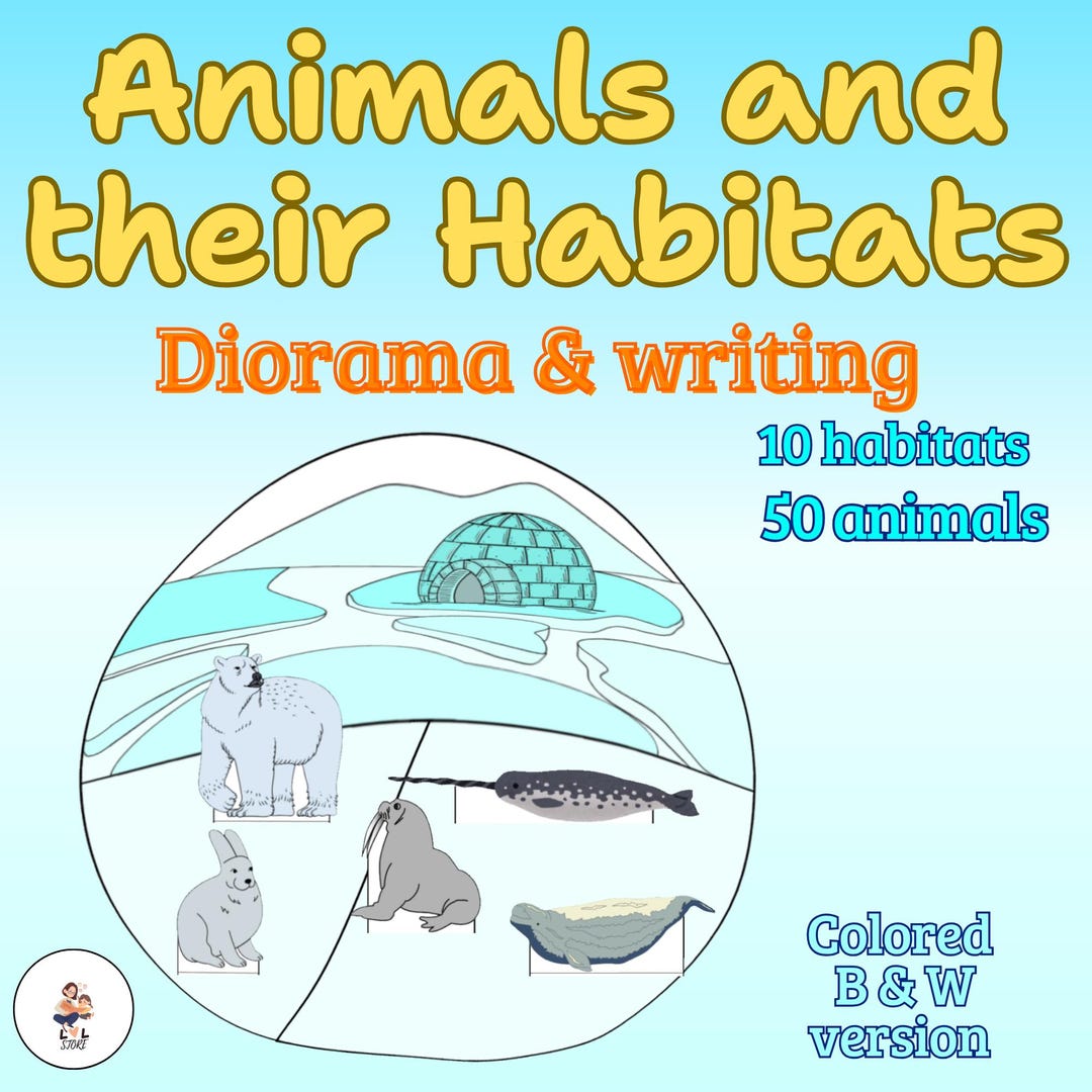 Animals and Their Habitats Diorama Craft | 3D Triorama Project for Kids ...