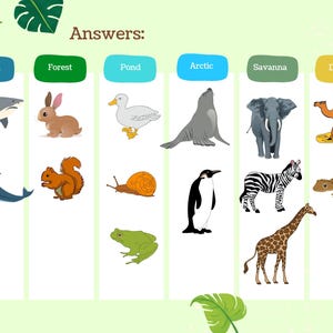 Animals and Habitats Diorama Pop-up: Science Craft Activity (printable ...