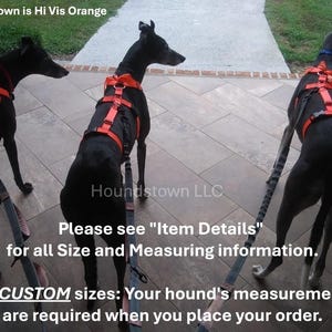 Houndstown Safety Banner (3-point) Harness, 24 Colors, 1” Width, Nickel ...