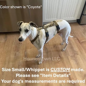 Houndstown Safety Banner (3-point) Harness, 24 Colors, 1” Width, Nickel ...