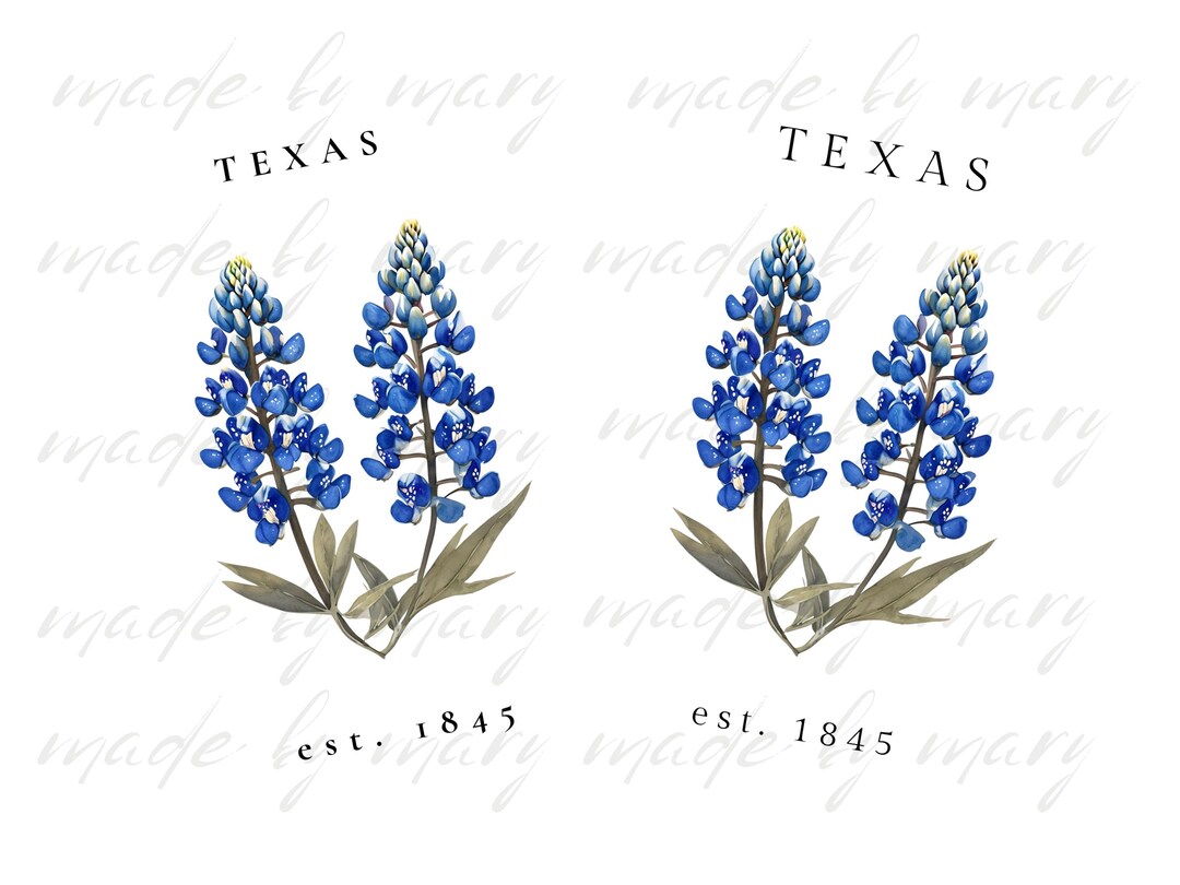 Texas Bluebonnet Wall Art Printable • Spring Wildflower Digital ...