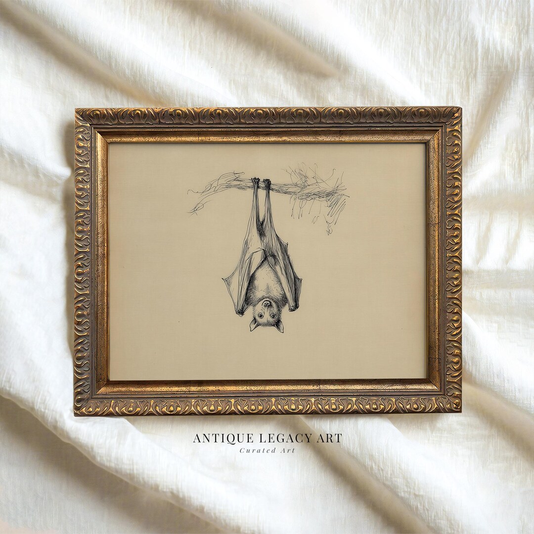 Vintage Halloween Bat Drawing Print, Gothic Bat Ink Sketch Printable ...