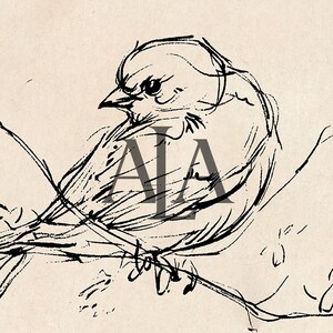 Vintage Grumpy Bird Sketch Print, B&W Minimalist Nature Printable Wall ...