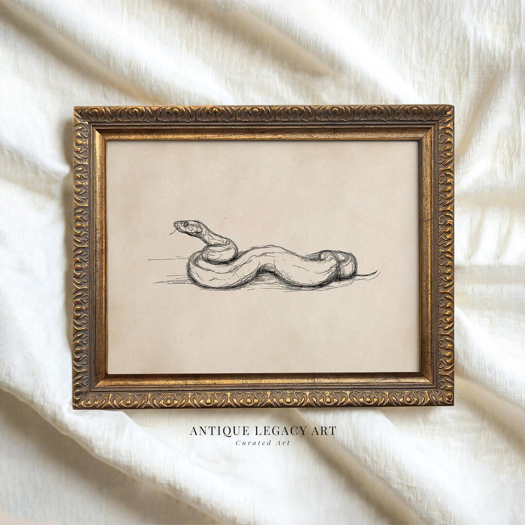 Vintage Snake Line Drawing Print, Gothic Serpent Sketch (digital ...