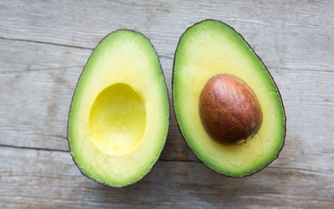 Clonal Rootstock LAMB HASS Avocado Tree - Grafted - Etsy