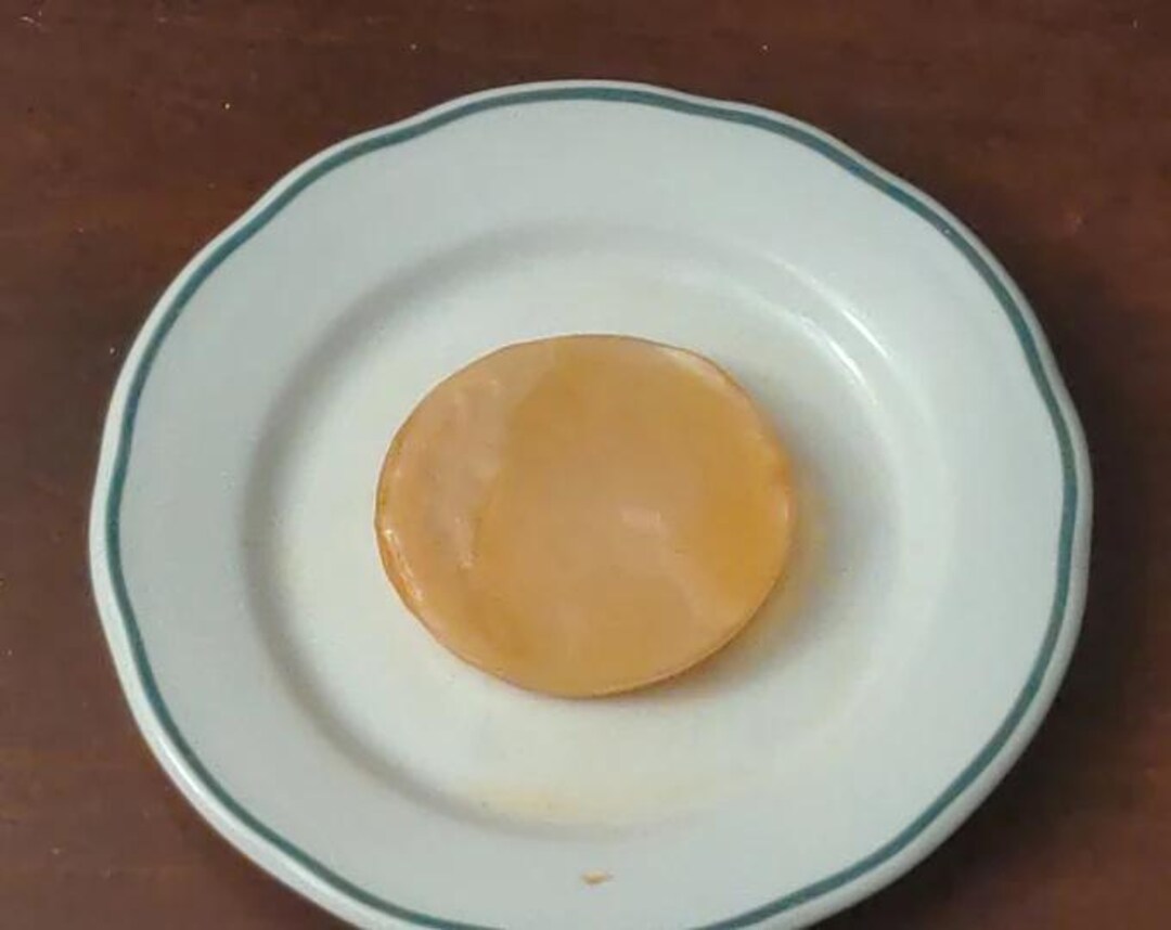 Healthy Kombucha SCOBY With Juicy Starter Tea, Fresh Live Culture for ...