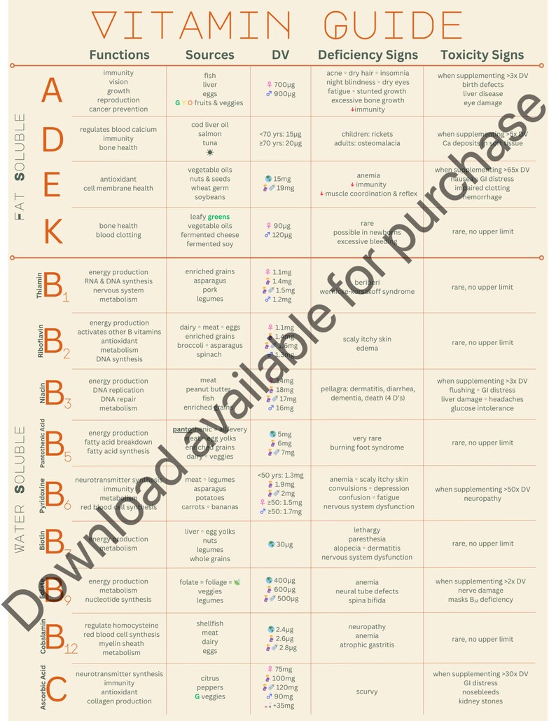 Vitamin Guide - Etsy